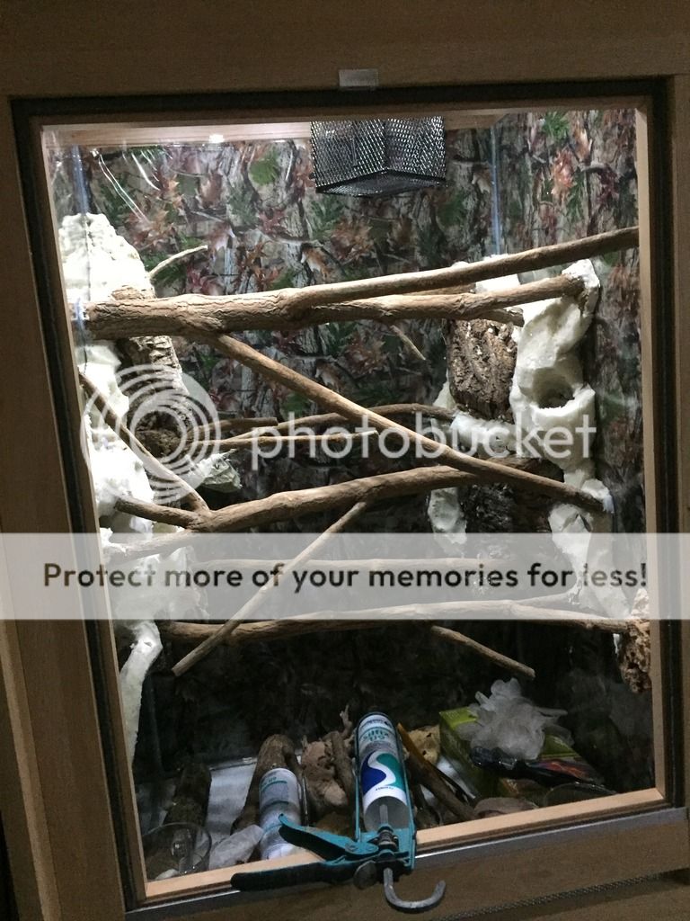 My snake set up | Reptile Forums