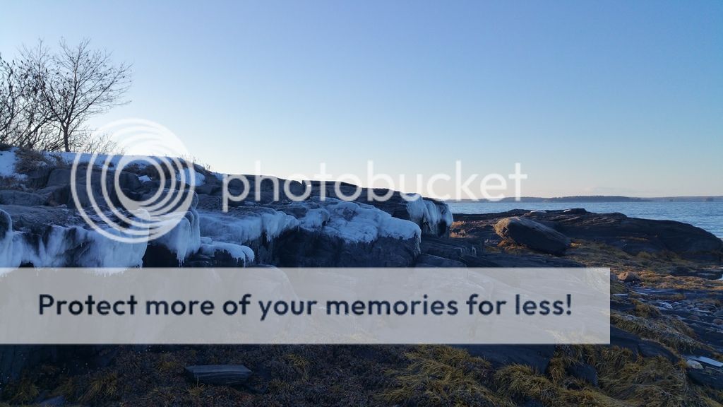 Photos of Maine (Franklin, Prospect: races, food, island) - (ME) - Page ...